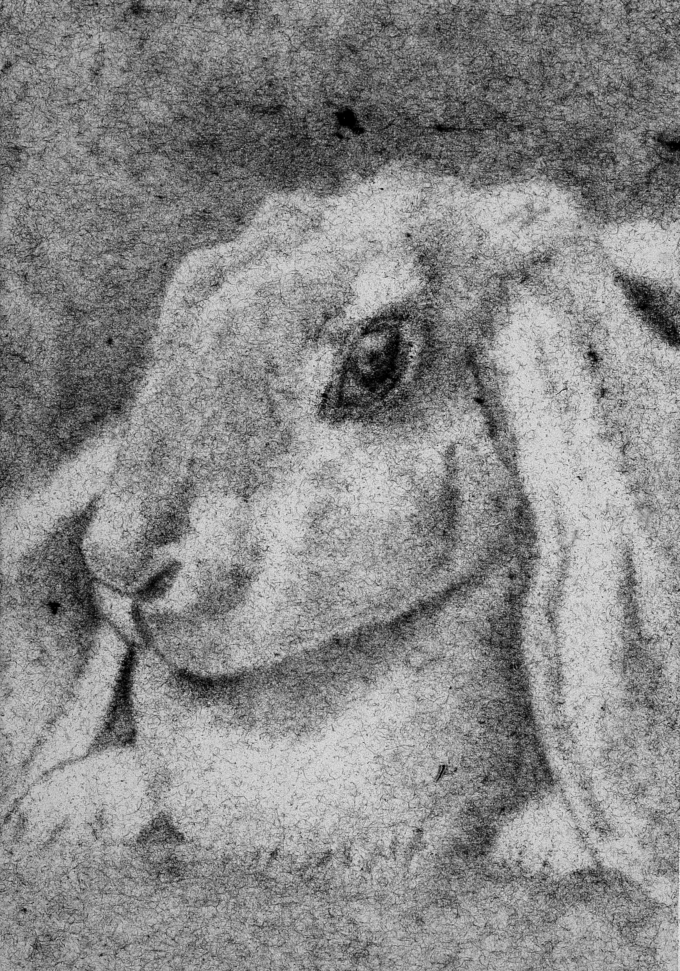 Wool Drawings – Gal Weinstein